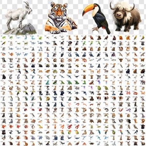 1,501 Animal Cliparts, PNG Clipart, up to 400 Various Species of ...