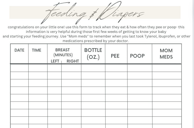 Newborn Feeding and Diapering Log - Etsy