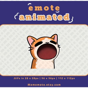 Animated Orange Pop Cat Meme Emote for Twitch, Discord, Youtube, Kick ...