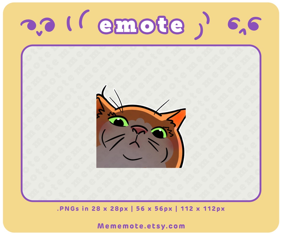 Orange Cat Stare Meme Emote for Twitch, Discord, Youtube, Kick - Etsy