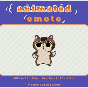 5 X Tabby Cat ANIMATED Emote for Twitch, Discord, Youtube, Kick ...