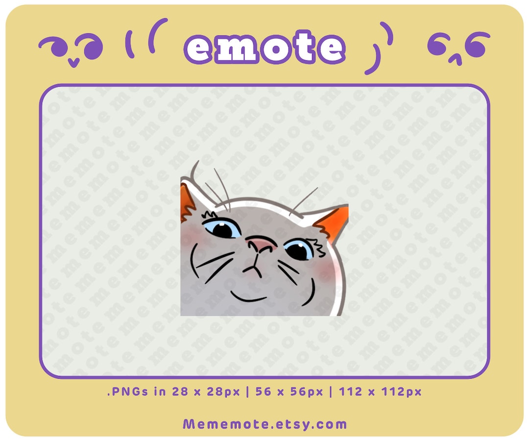 White Cat Stare Emote for Twitch, Discord, Youtube, Kick| ID#0062 - Etsy
