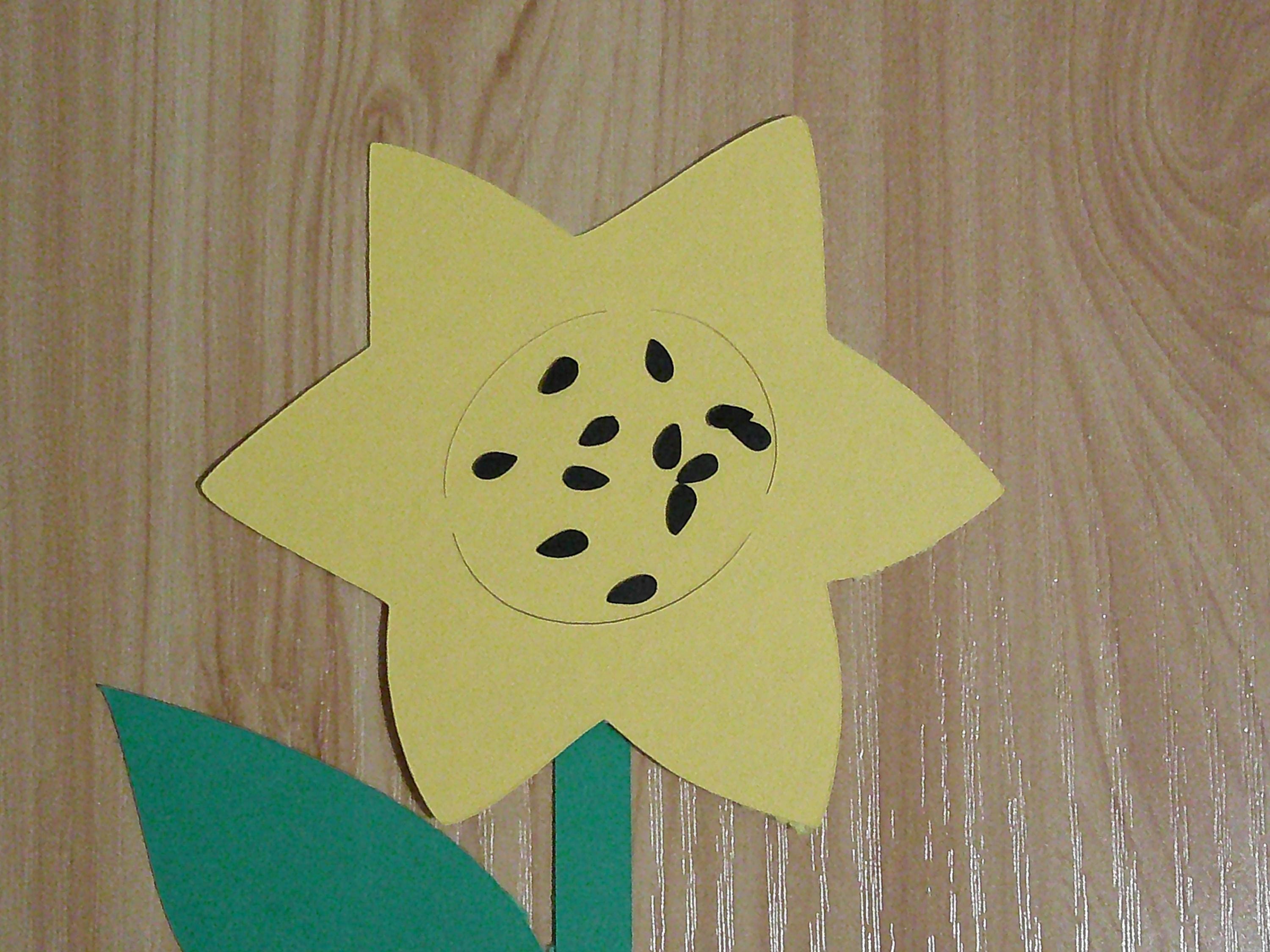 Parts of a Plant Craft - Etsy