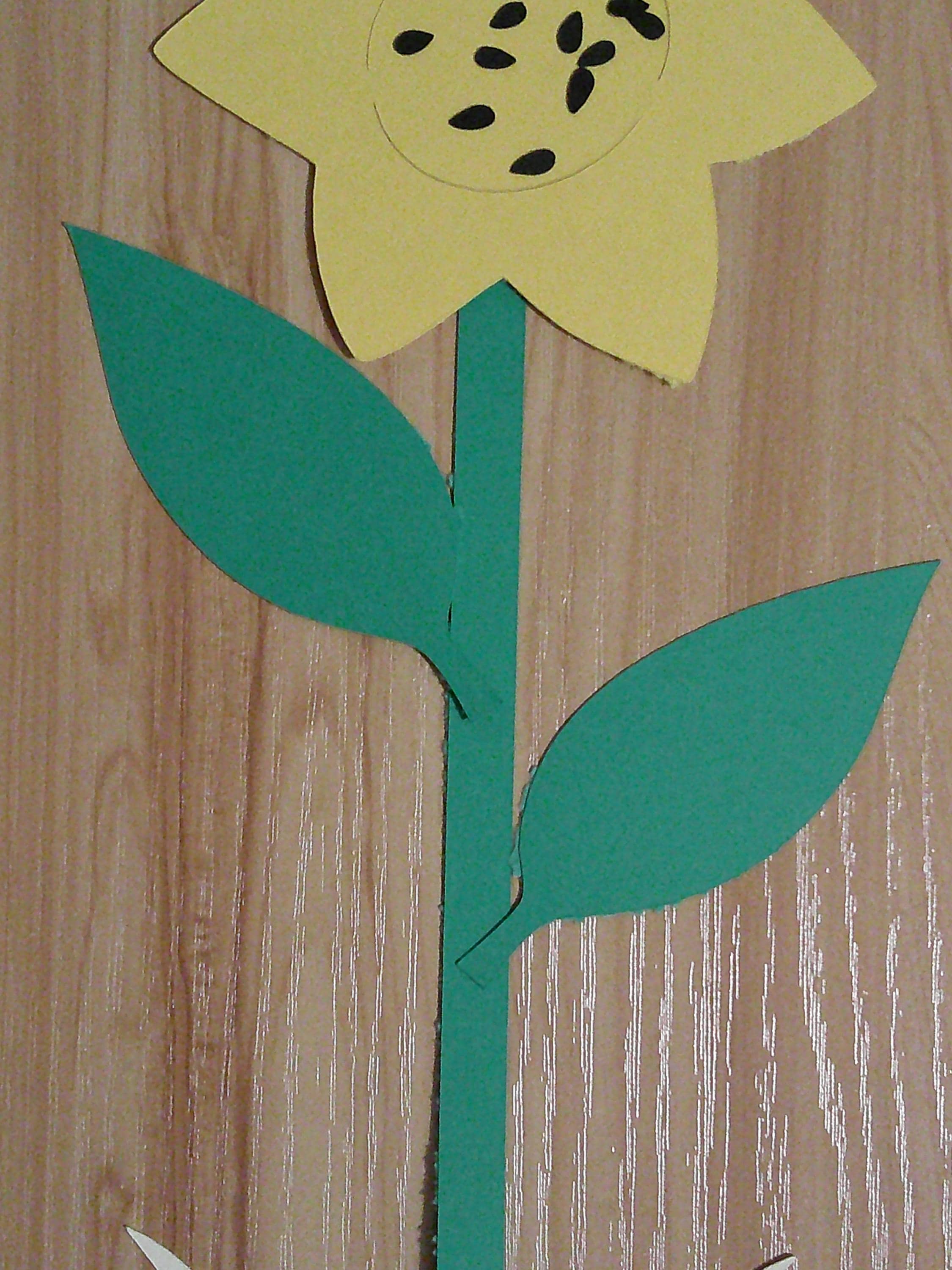 Parts of a Plant Craft - Etsy