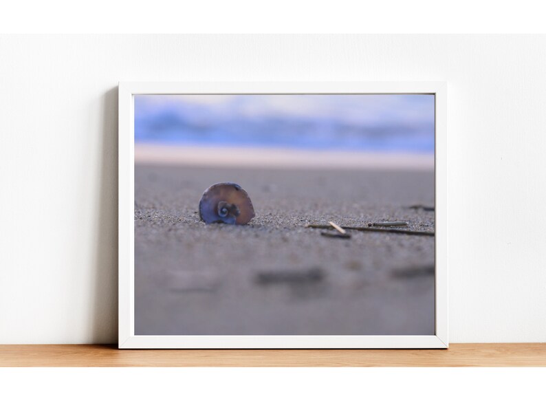Beach, Ocean, Shell, Digital Download, Photograph, Beach, Ocean ...
