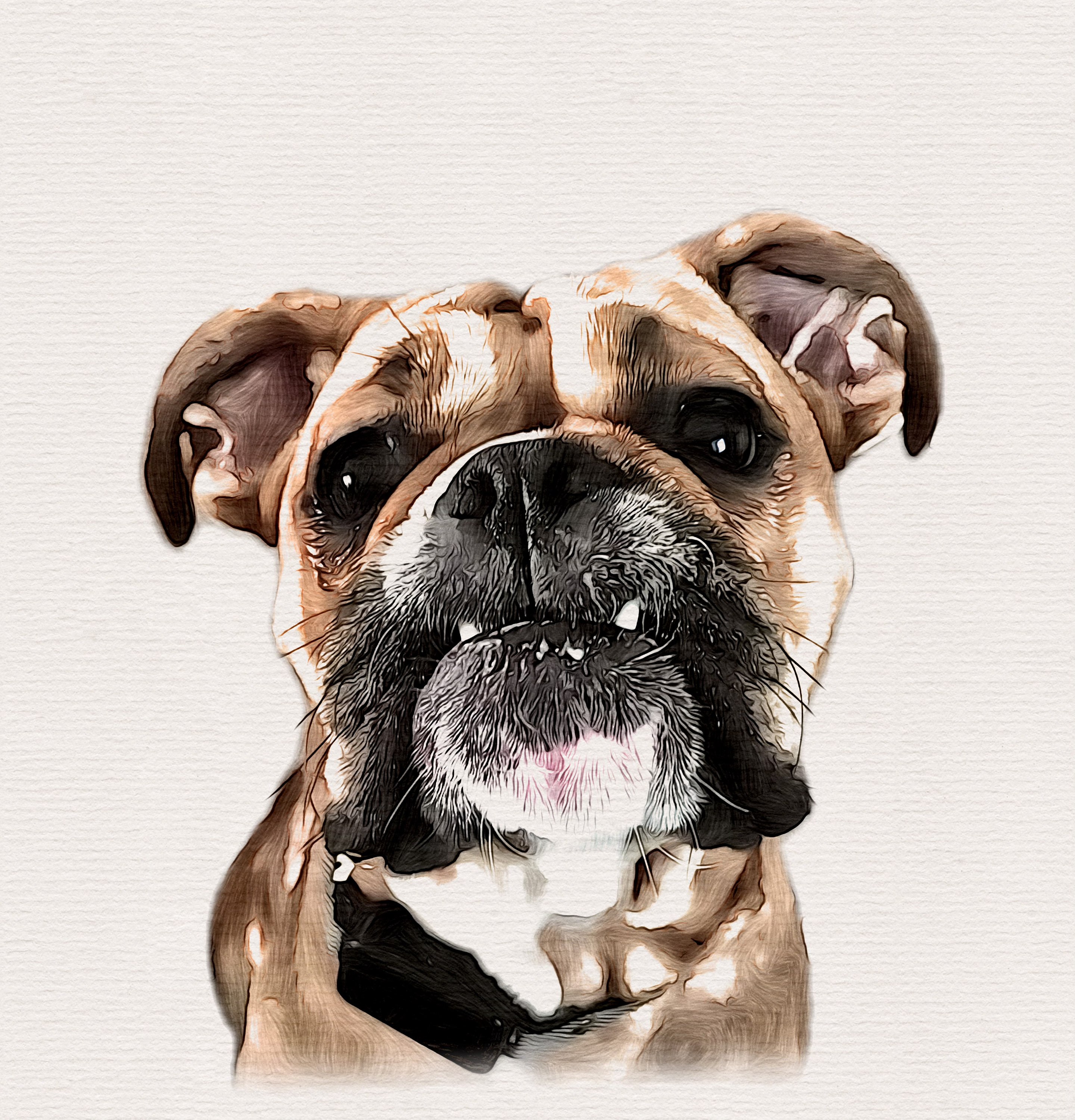 Pet Portrait From Digital File, Custom Pet Art, Pet Drawing - Etsy