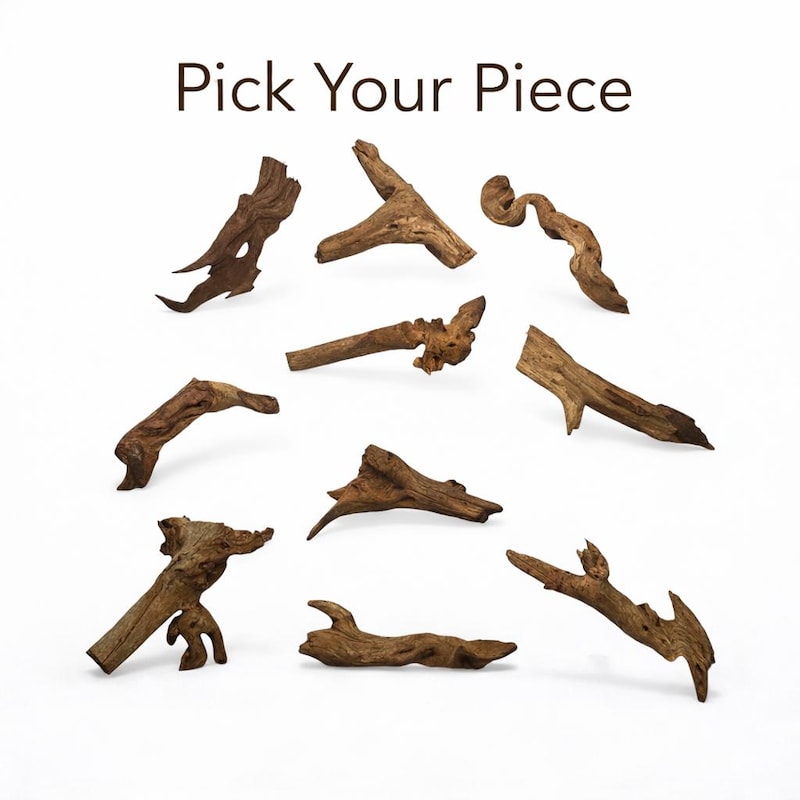 Fish Tank Wood Arched - Etsy