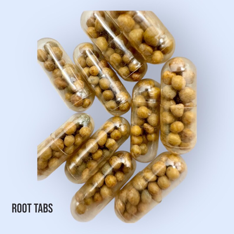 Buy2get1free Root Tabs for Aquarium Plants - Etsy