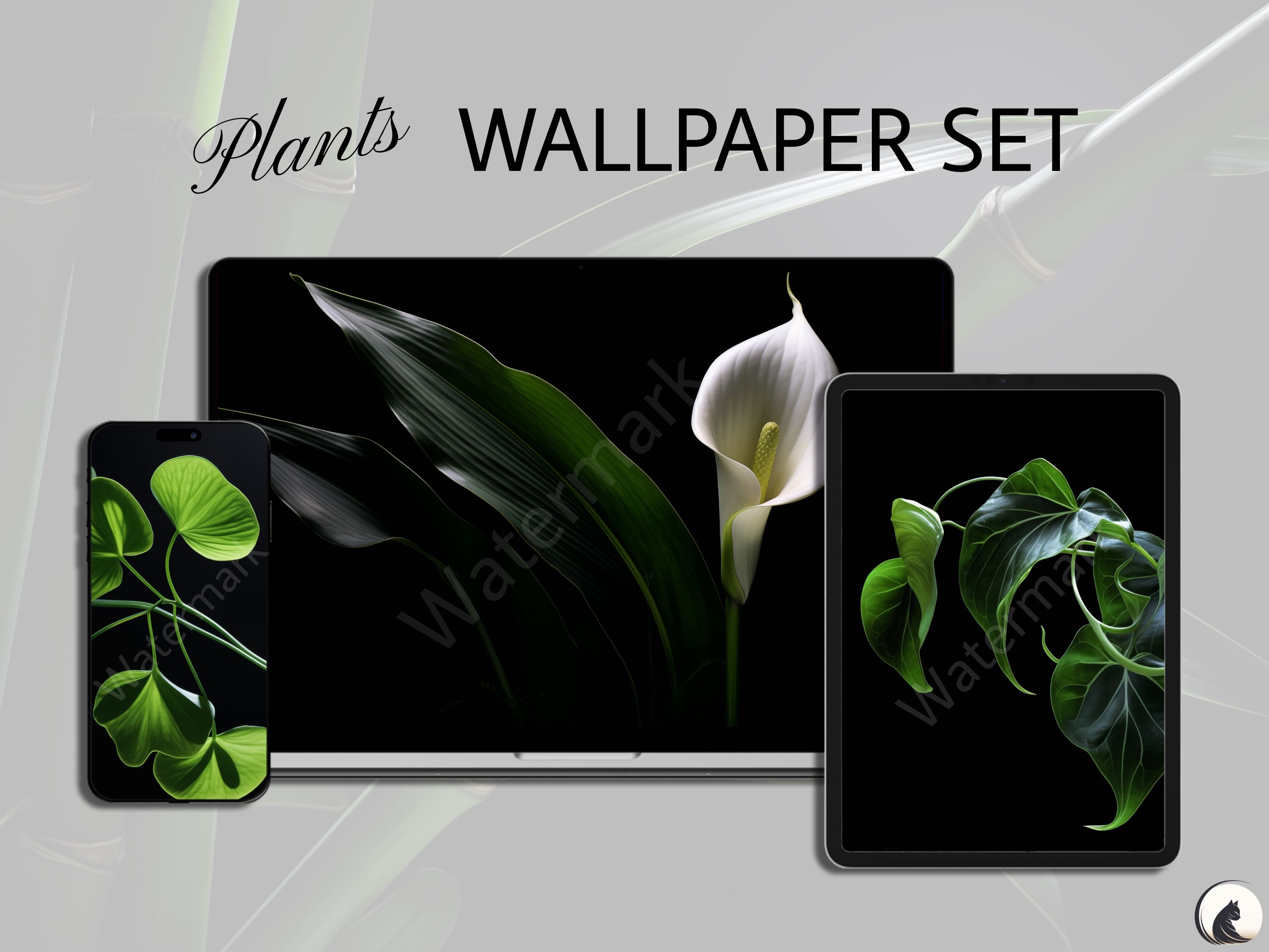 Calming Wallpaper Set - PLANTS - for Iphone, iPad & MacBook - Etsy