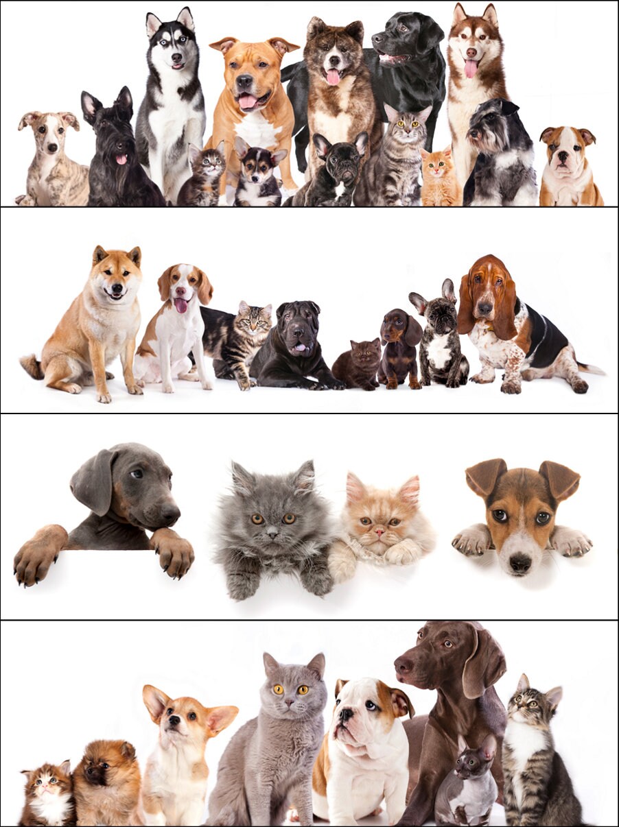 Printable Bookmarks Dogs and Cats Collection - Etsy