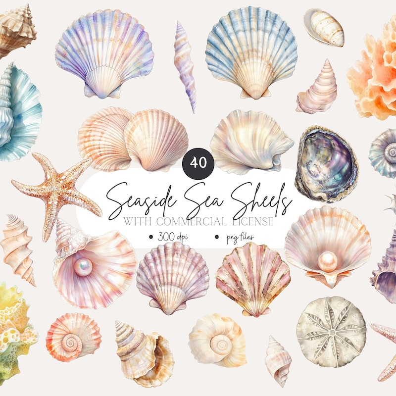 Sea Shell Dtf - Etsy UK