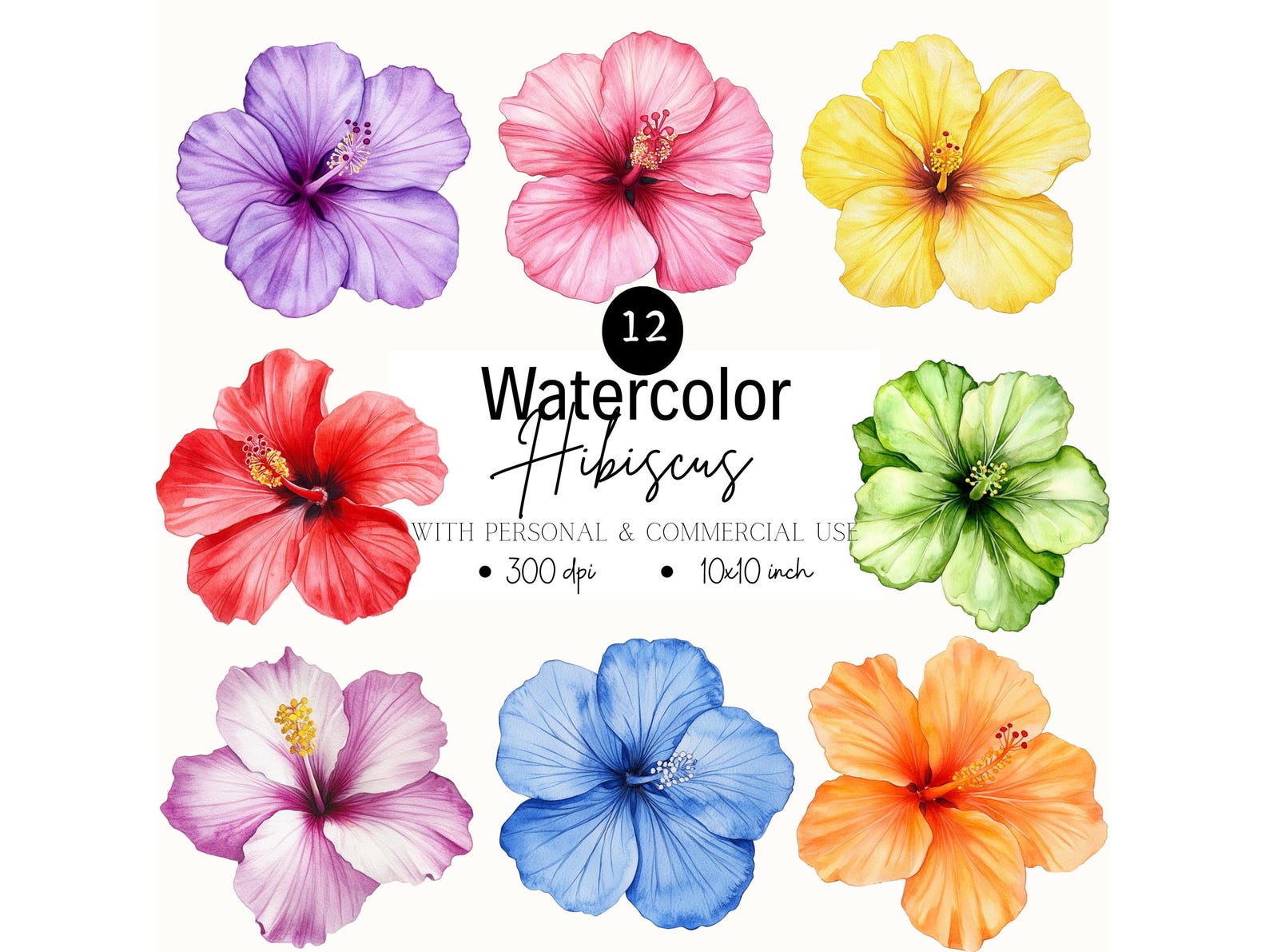 Watercolor Hibiscus Clipart Set: Tropical Flower PNG, Tshirt Design ...