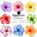 Watercolor Hibiscus Clipart Set: Tropical Flower PNG, Tshirt Design ...