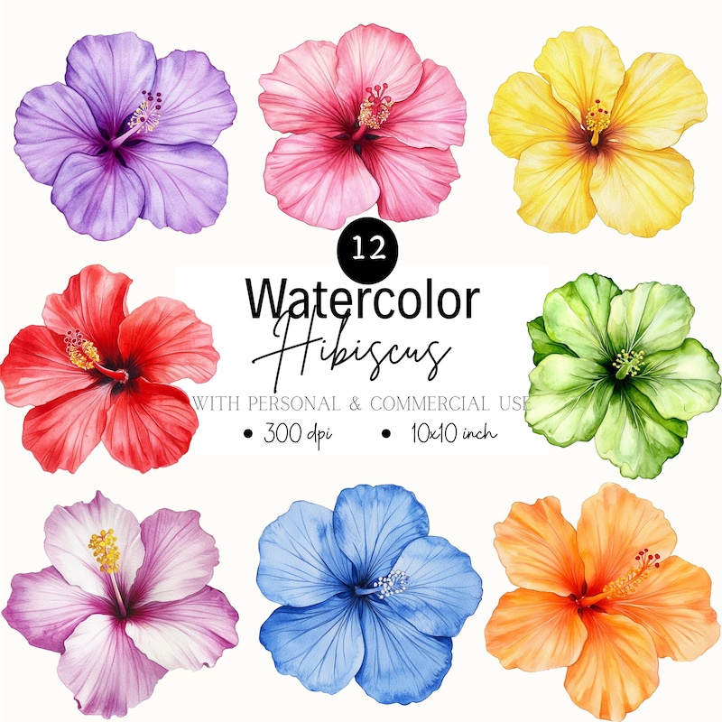 Watercolor Hibiscus Clipart - Etsy