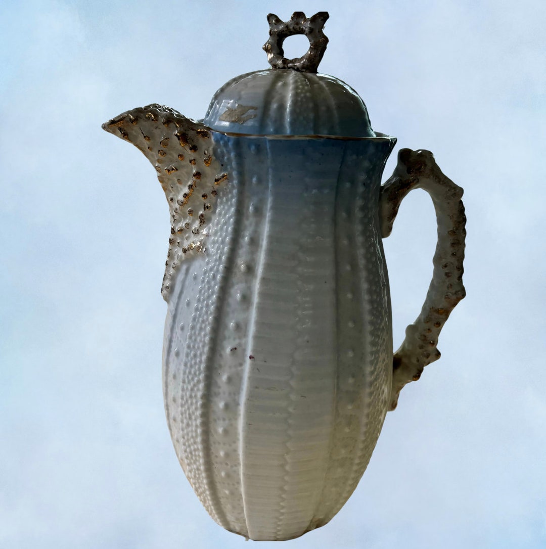 Limpet Beleek-styled Chocolate / Coffee Pot - Etsy