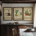 Italian Botanical Prints: Rustic Kitchen Wall Art (digital Download) - Etsy