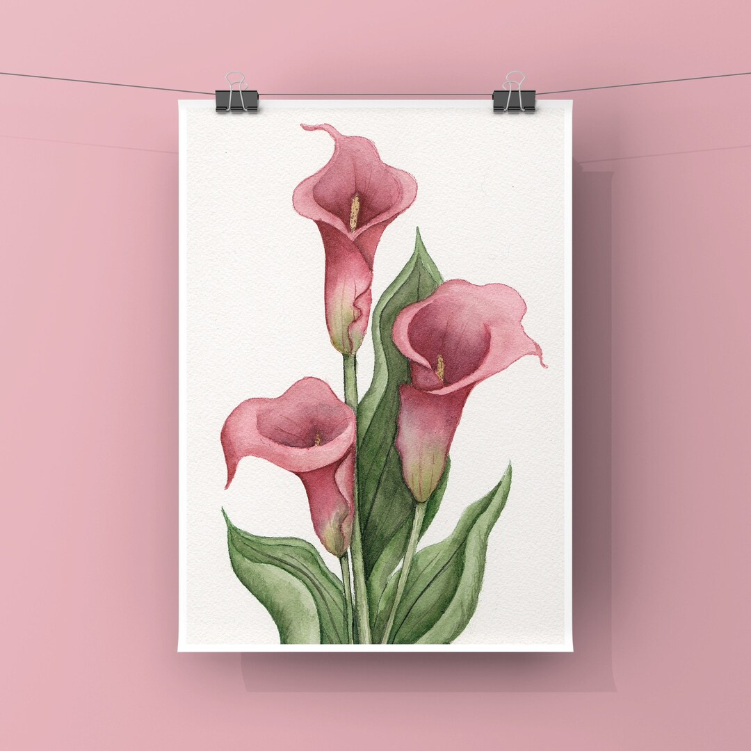 Calla Lily Print 5"x7" - Etsy