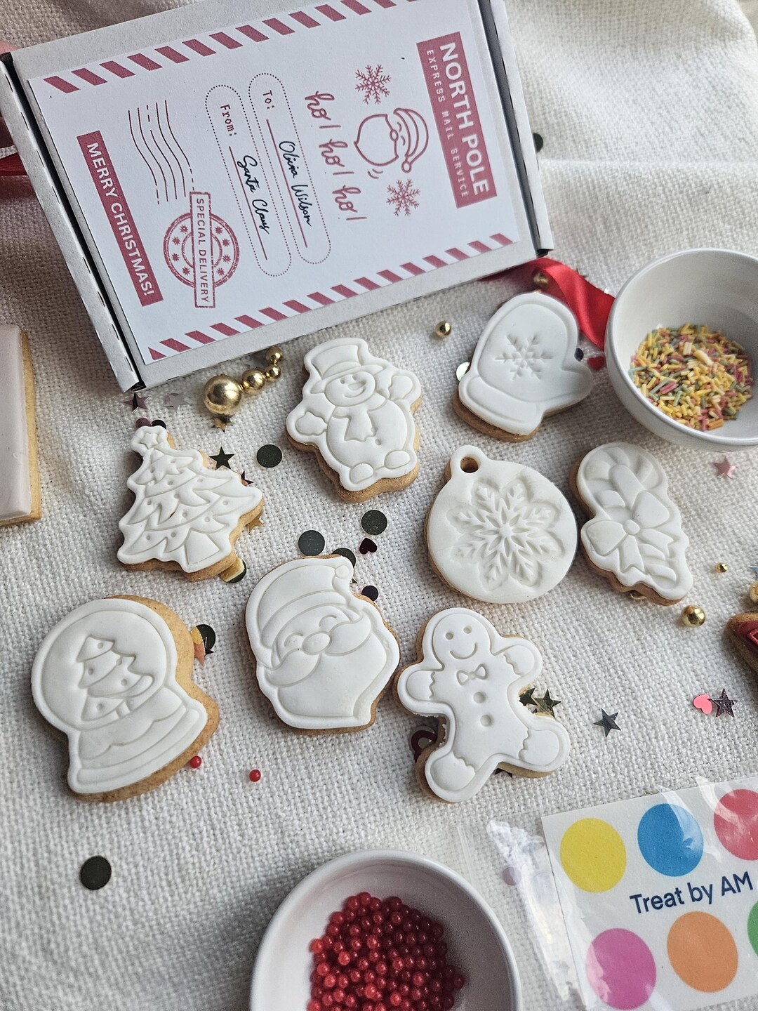 Paint Your Own Christmas Cookie Kit | DIY Holiday Cookie Decorating Set ...