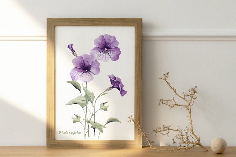 Petunia Print, Digital Print, Botanical Prints, Botanical Posters ...