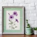 Petunia Print, Digital Print, Botanical Prints, Botanical Posters ...