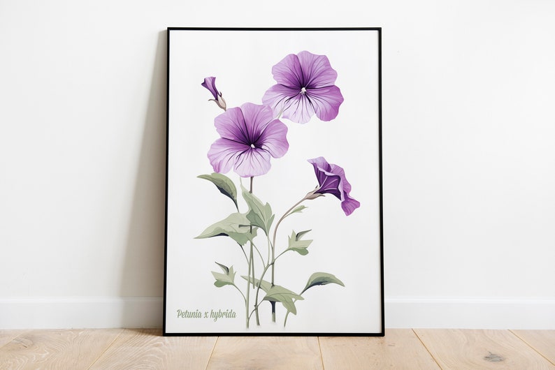 Petunia Print, Digital Print, Botanical Prints, Botanical Posters ...