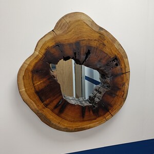 Tree Slice Log Mirror Live Edge Wood Rustic Mulberry Wood From a Tree ...