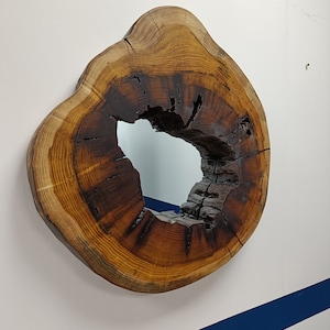 Tree Slice Log Mirror Live Edge Wood Rustic Mulberry Wood From a Tree ...
