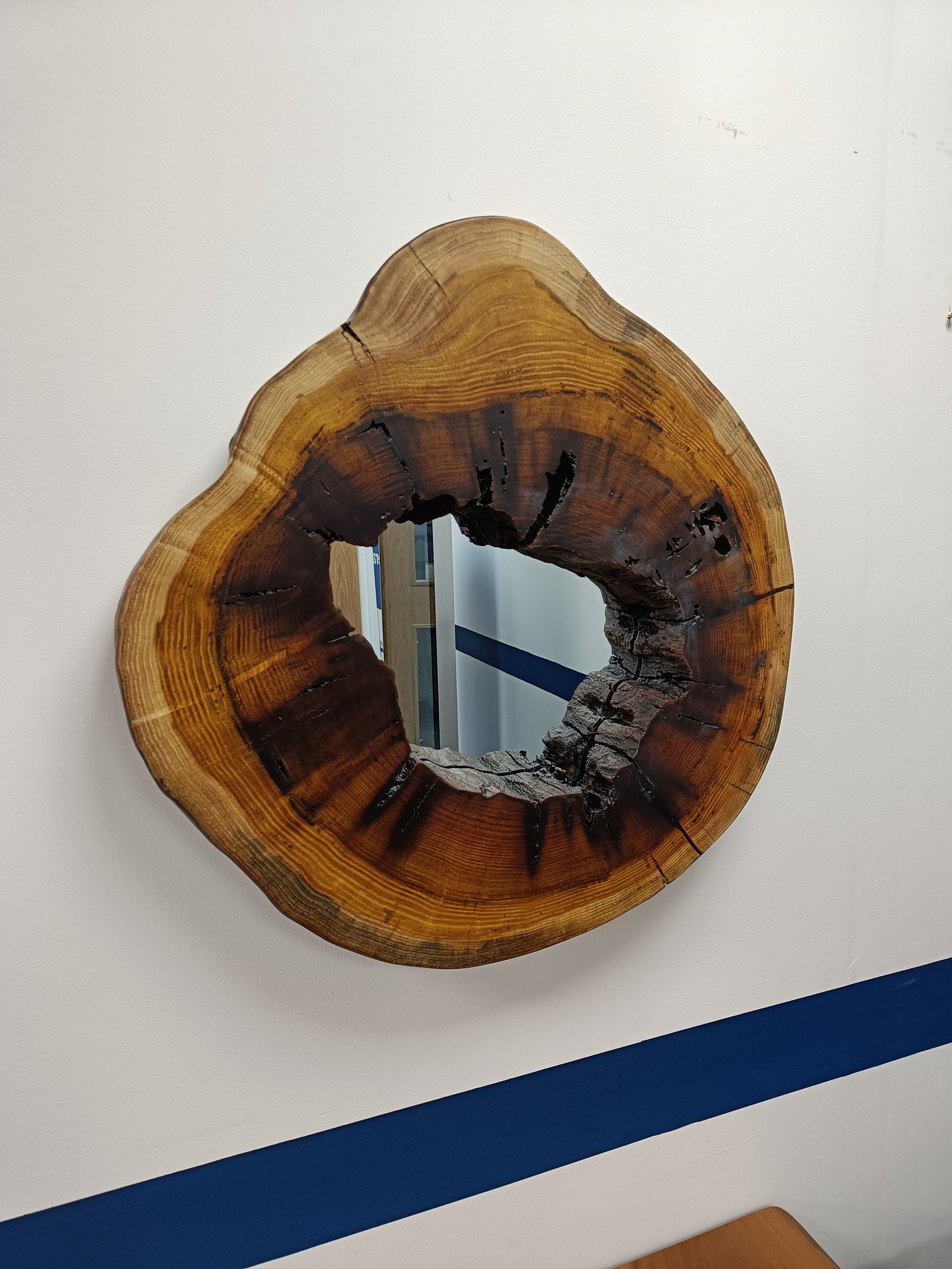 Tree Slice Log Mirror Live Edge Wood Rustic Mulberry Wood From a Tree ...