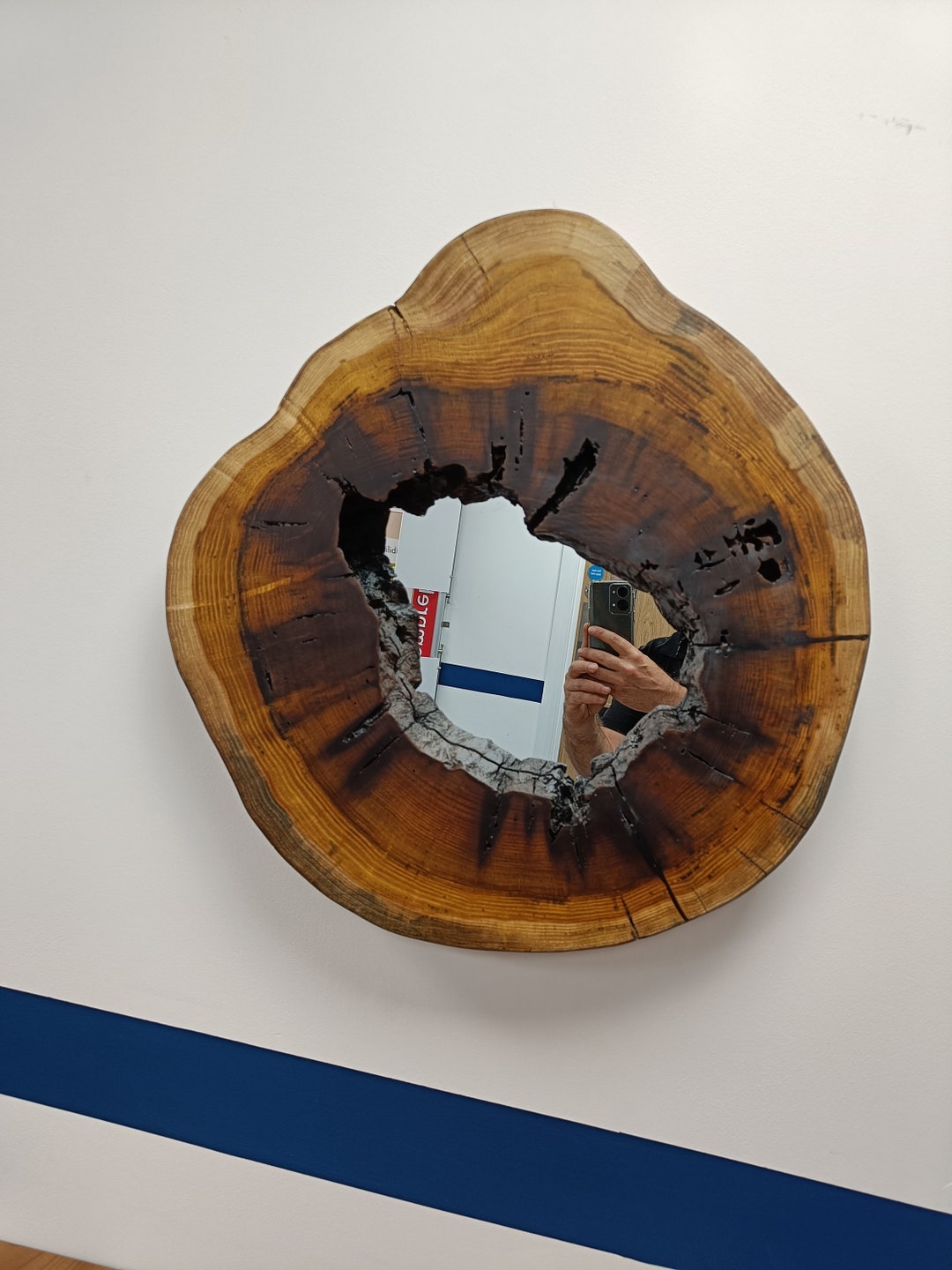 Tree Slice Log Mirror Live Edge Wood Rustic Mulberry Wood From a Tree ...