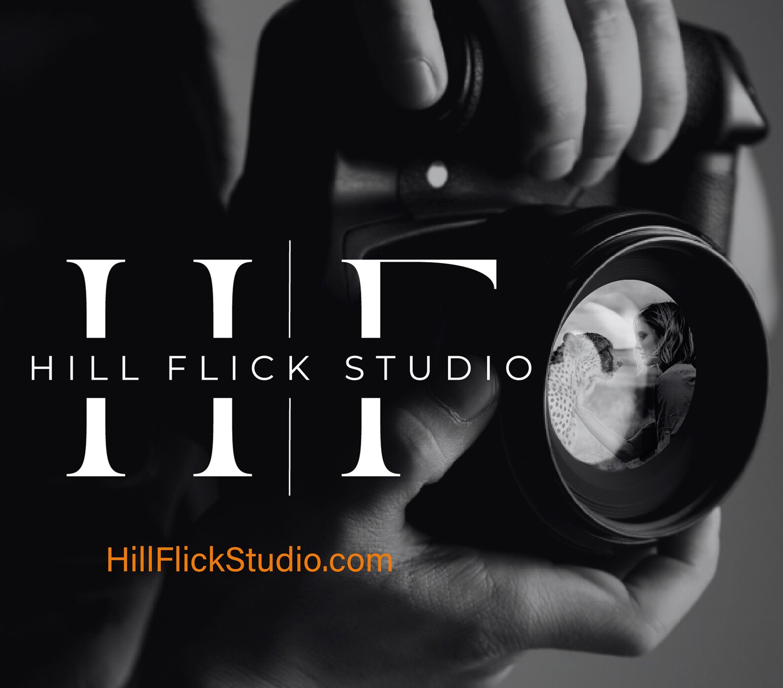 The Red Eye Beast Bison, Bison in Yellowstone, Black and White ...