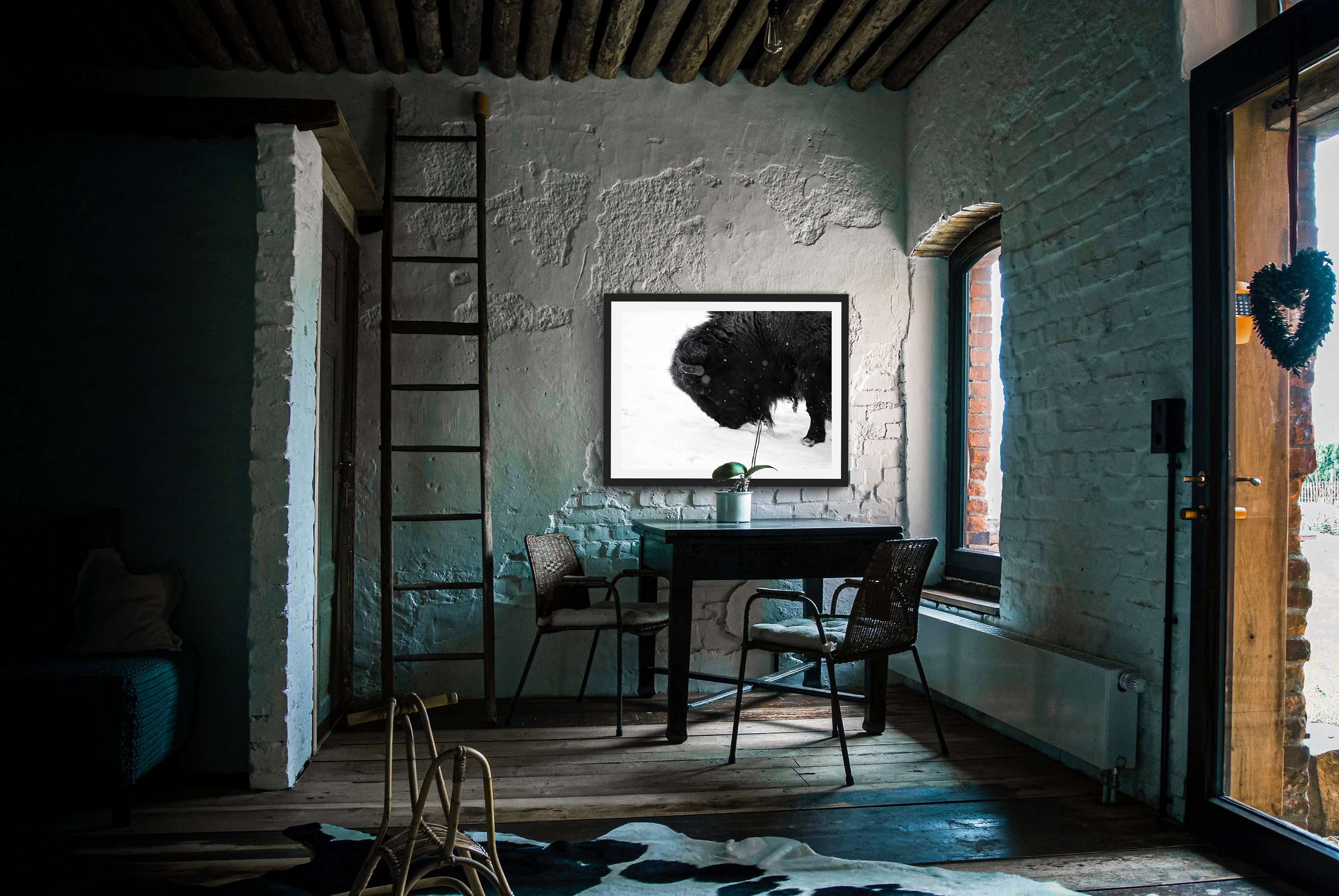 The Red Eye Beast Bison, Bison in Yellowstone, Black and White ...