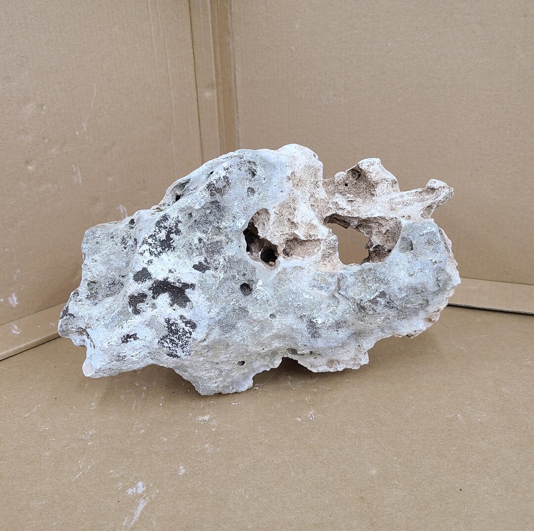 Texas Holey Rock Limestone Fish Aquarium Reptile Habitat Terrarium ...