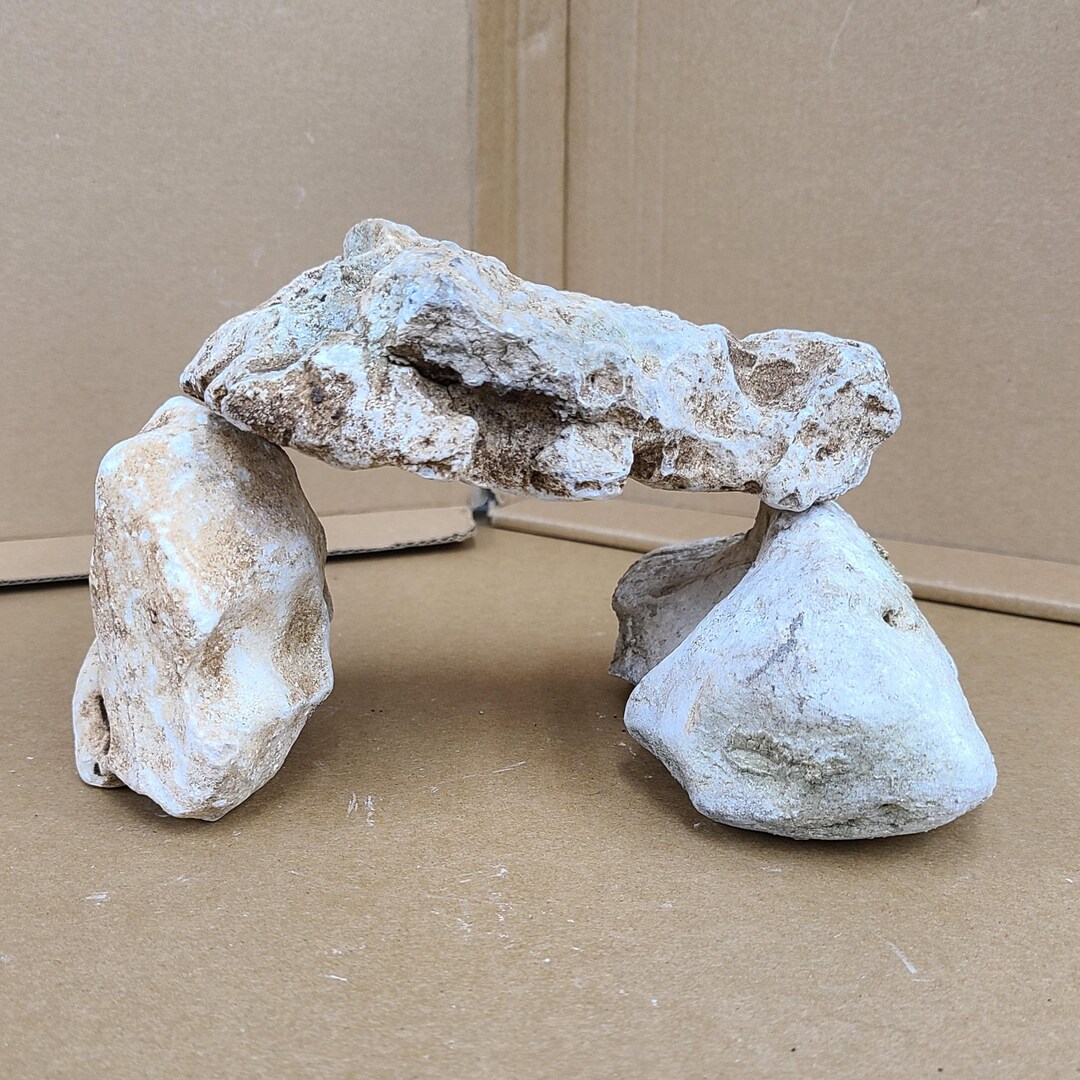 Texas Limestone Rock Kit Fish Aquarium Reptile Habitat Terrarium Decor ...