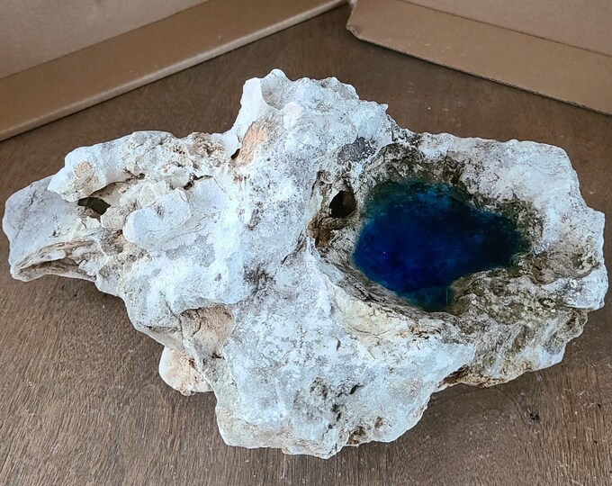 Texas Holey Rock Limestone Fish Aquarium Reptile Habitat Water Bowl ...