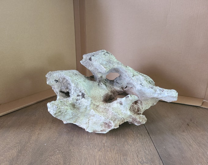 Texas Holey Rock Limestone Fish Aquarium Reptile Habitat Terrarium ...