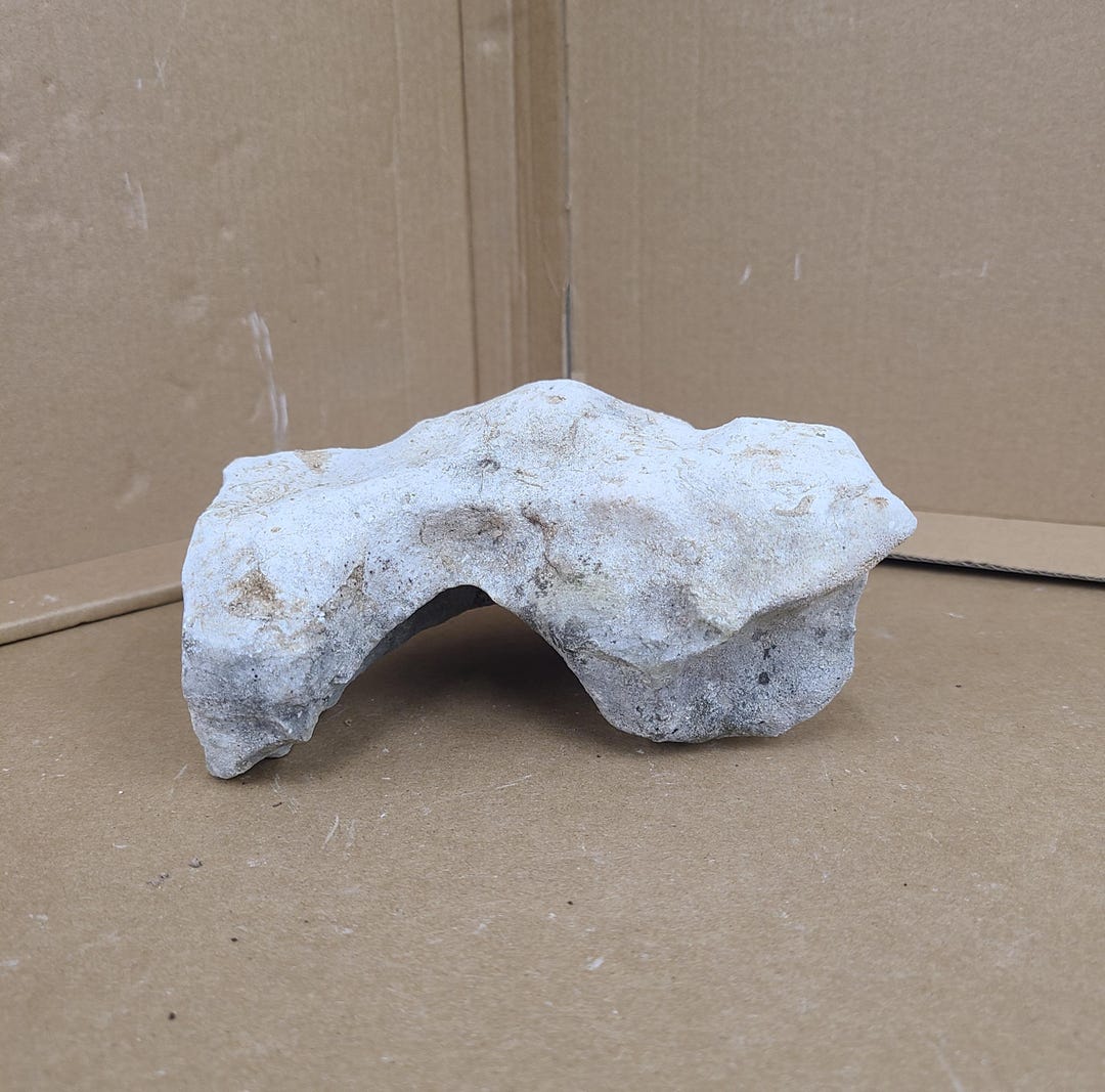 Texas Holey Rock Limestone Cave Fish Aquarium Reptile Habitat Terrarium ...