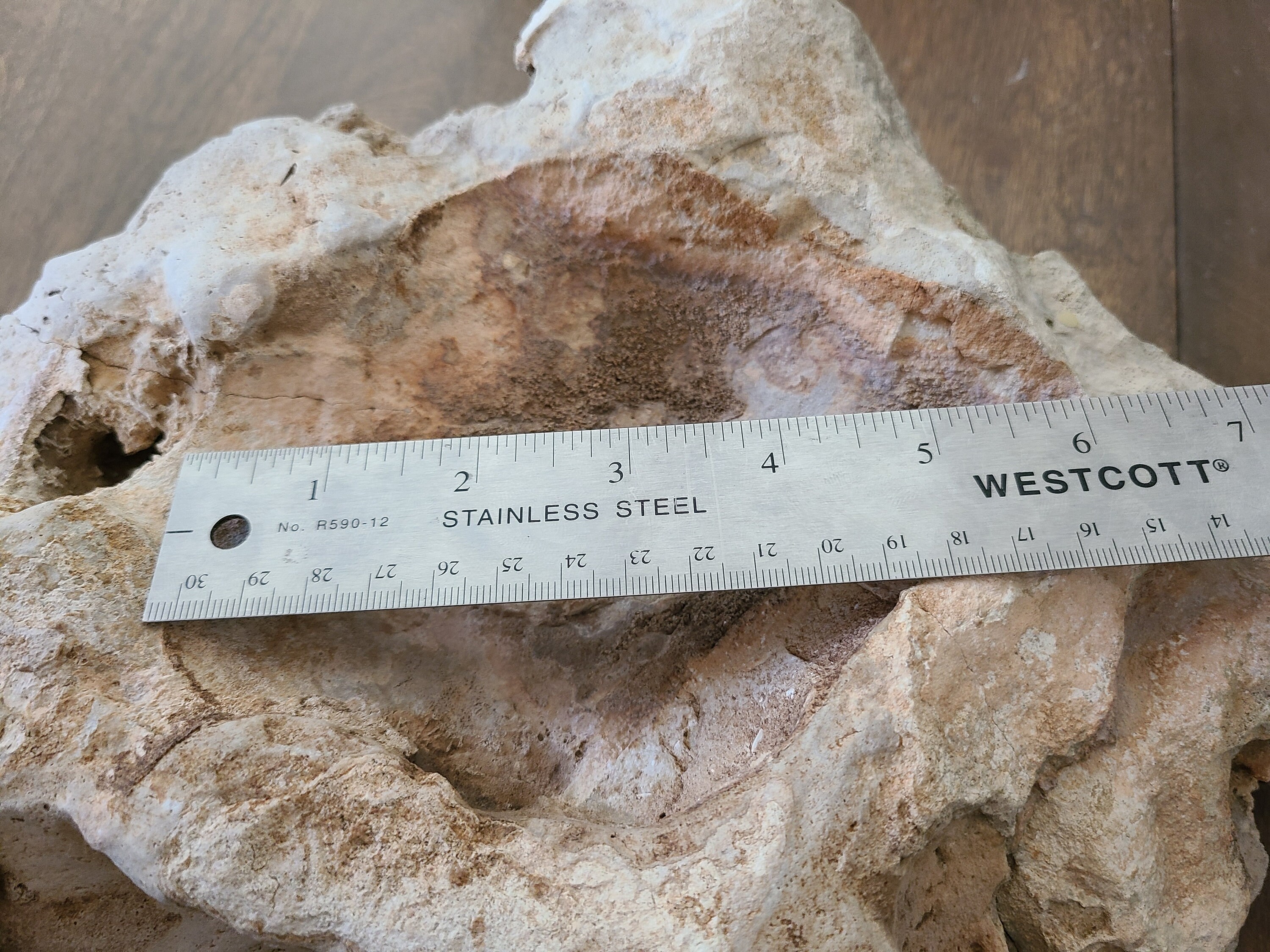 Reptile Habitat Texas Limestone Rock Fish Aquarium Terrarium Decor for ...