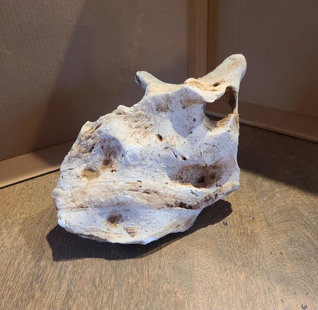 Texas Holey Rock Limestone Fish Aquarium Reptile Habitat Terrarium ...