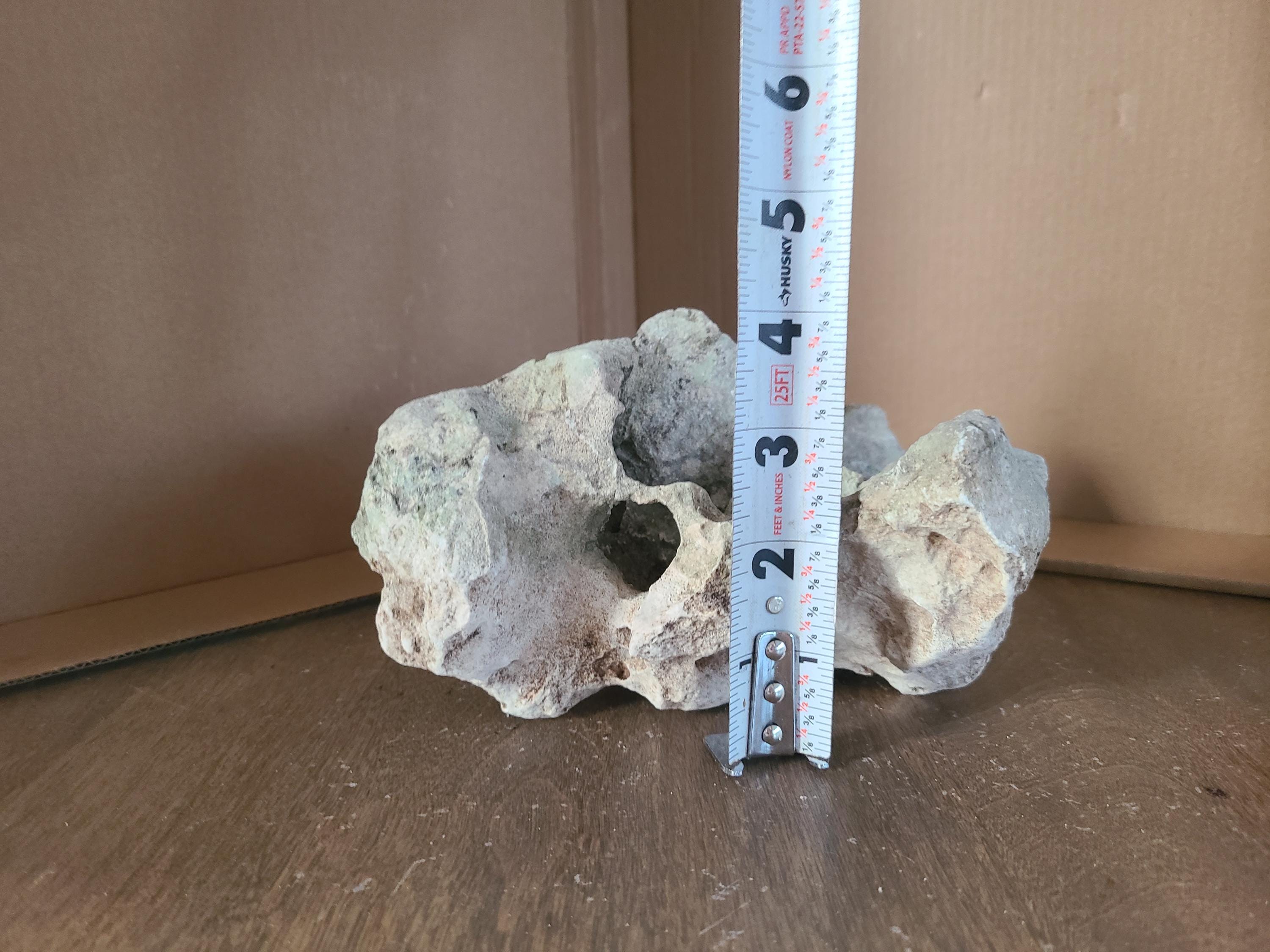 Texas Holey Rock Limestone Fish Aquarium Reptile Habitat Terrarium ...