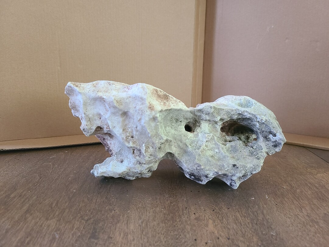 Texas Holey Rock Limestone Fish Aquarium Reptile Habitat Terrarium ...