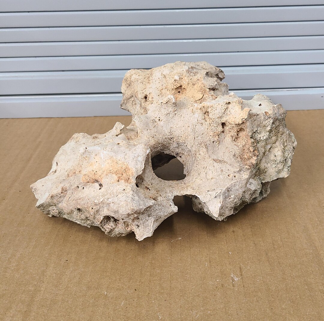 Texas Holey Rock Limestone Fish Aquarium Reptile Habitat Terrarium ...