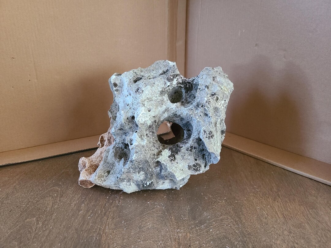 Texas Holey Rock Limestone Fish Aquarium Reptile Habitat Terrarium ...