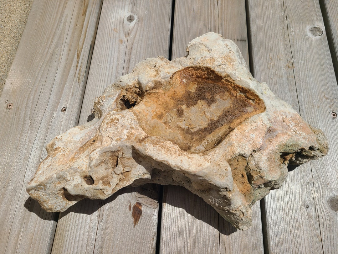 Reptile Habitat Texas Limestone Rock Fish Aquarium Terrarium Decor for ...