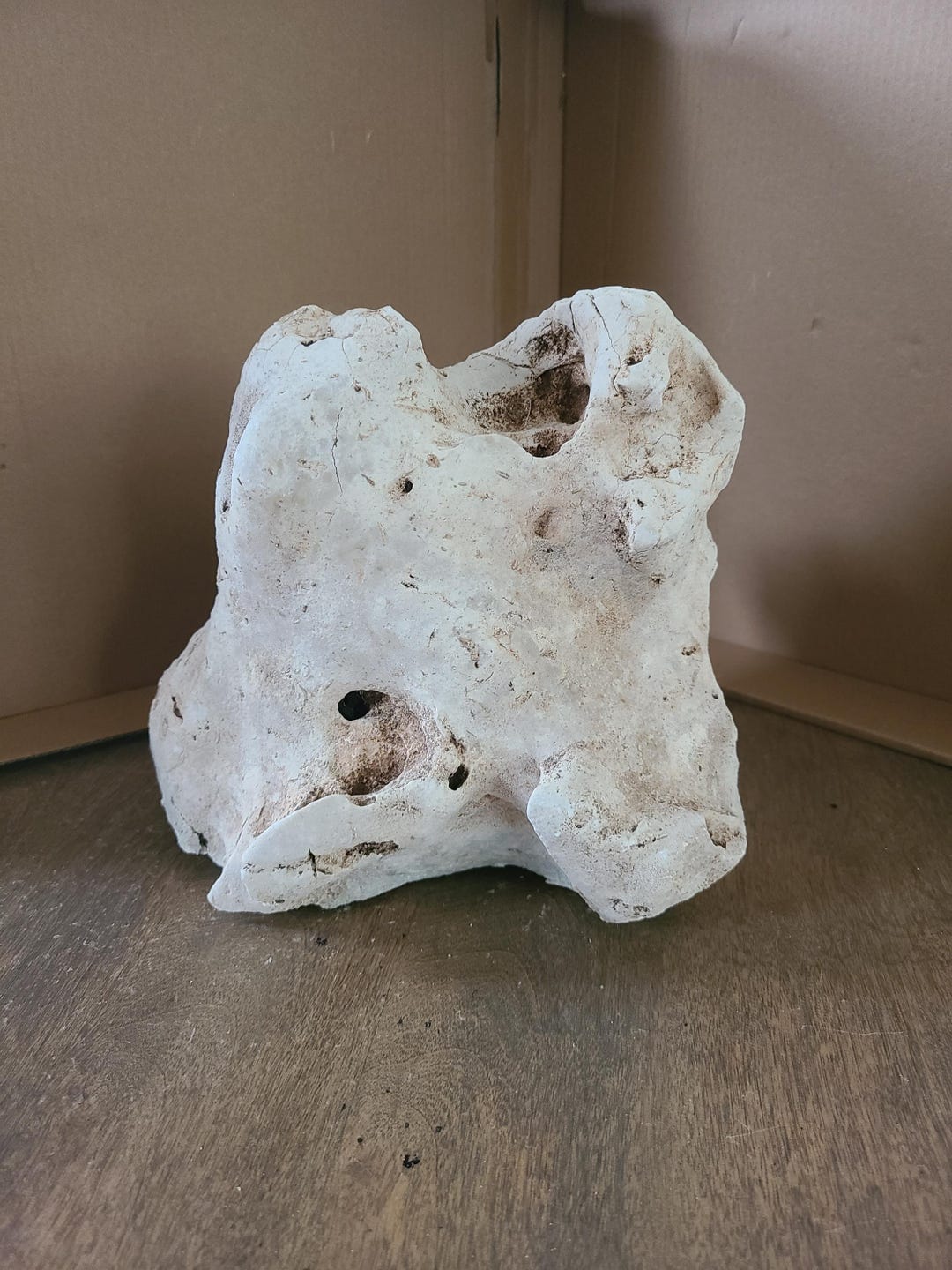 Texas Holey Rock Limestone Fish Aquarium Reptile Habitat Terrarium ...