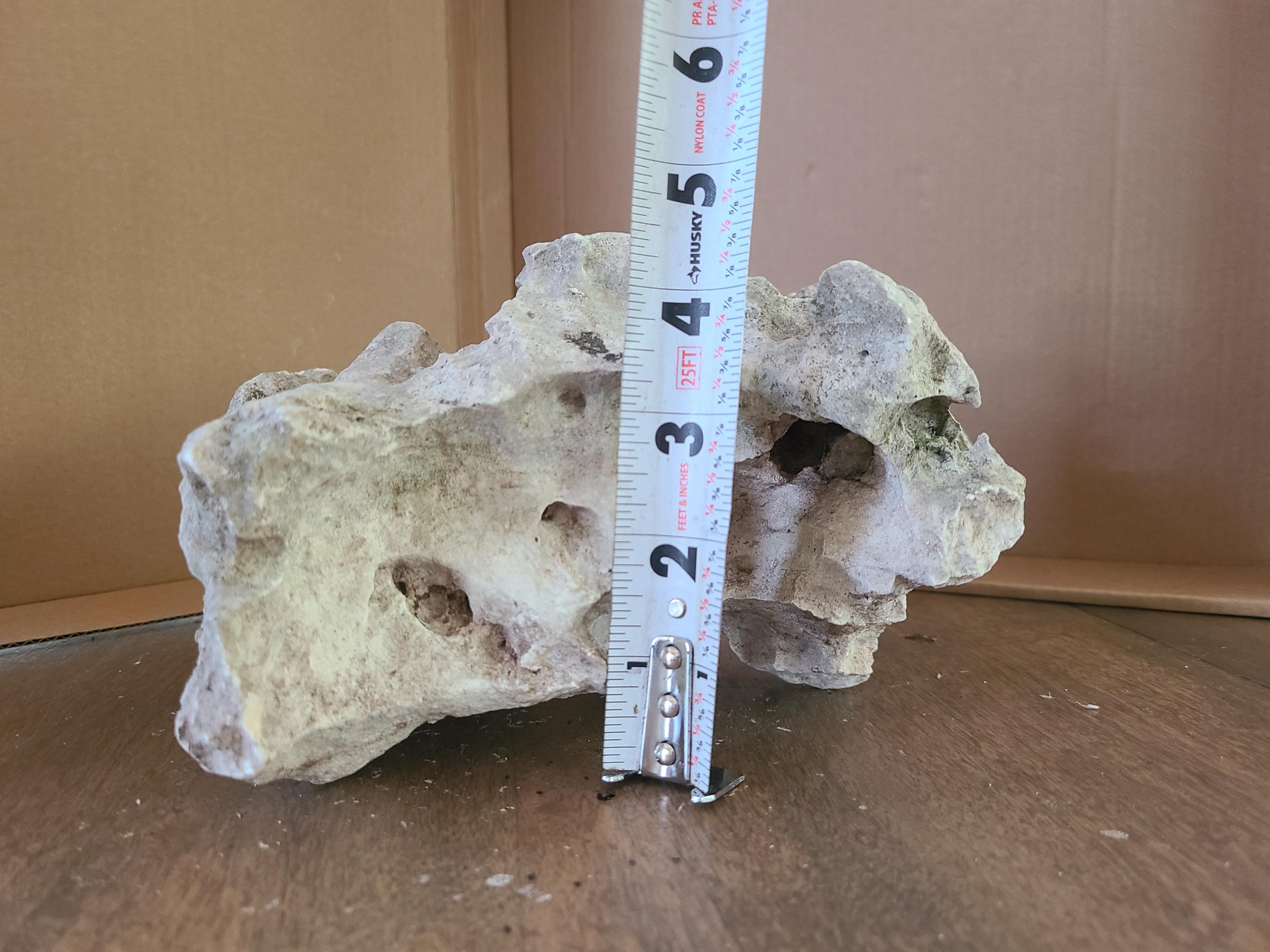 Texas Holey Rock Limestone Fish Aquarium Reptile Habitat Terrarium ...