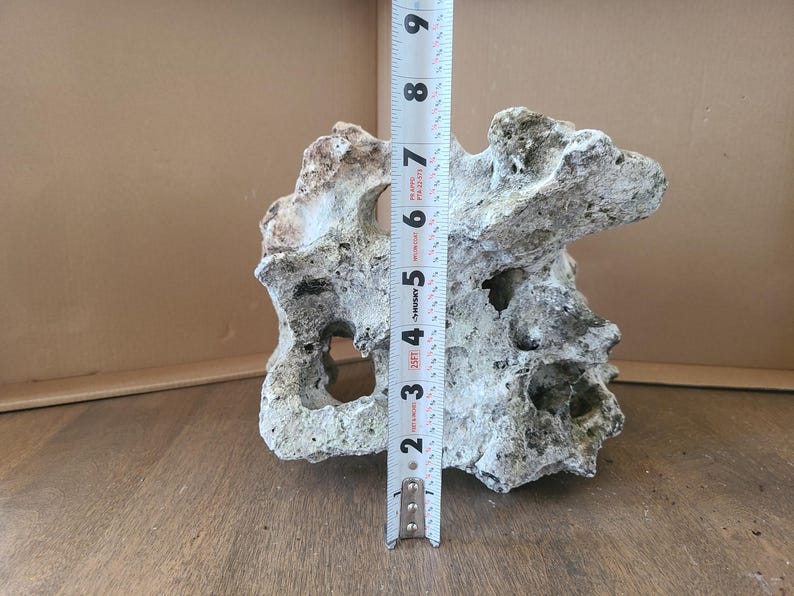 Texas Holey Rock Limestone Fish Aquarium Reptile Habitat Terrarium ...