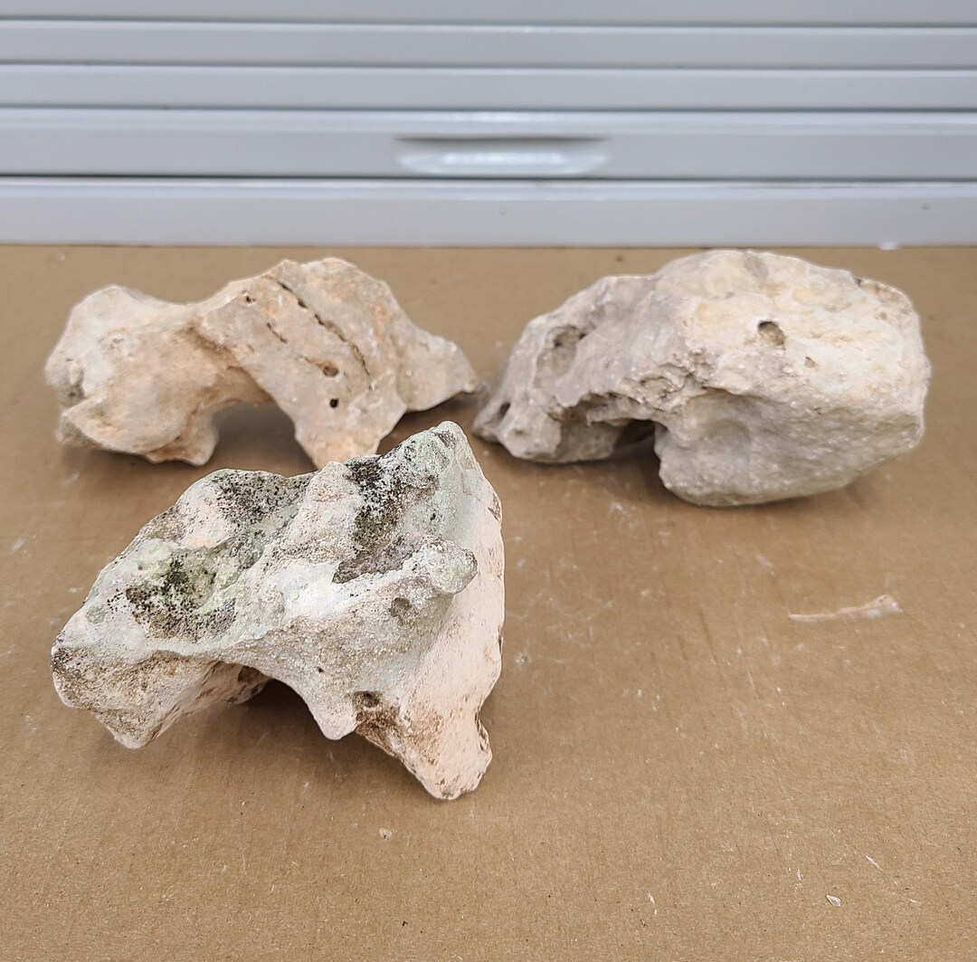 Texas Limestone Rock Kit Fish Aquarium Reptile Habitat Terrarium Decor ...