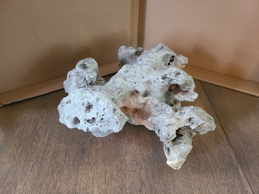 Texas Holey Rock Limestone Fish Aquarium Reptile Habitat Terrarium ...