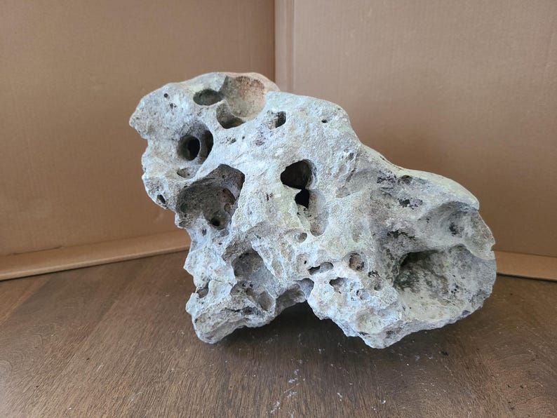 Texas Holey Rock Limestone Fish Aquarium Reptile Habitat Terrarium ...