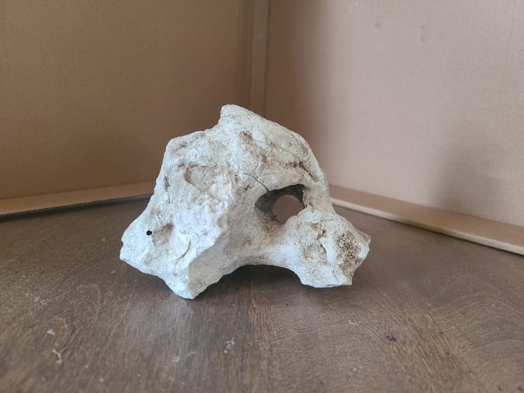 Texas Holey Rock Limestone Fish Aquarium Reptile Habitat Terrarium ...